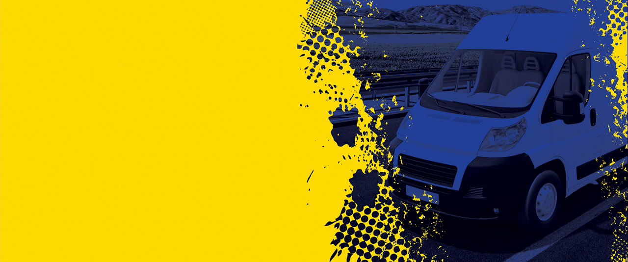 Light Commercial Vehicle | MOOG Parts